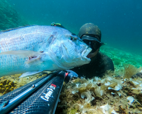 CMAS IX Panamerican Championships Spearfishing-SPEARFISHING
